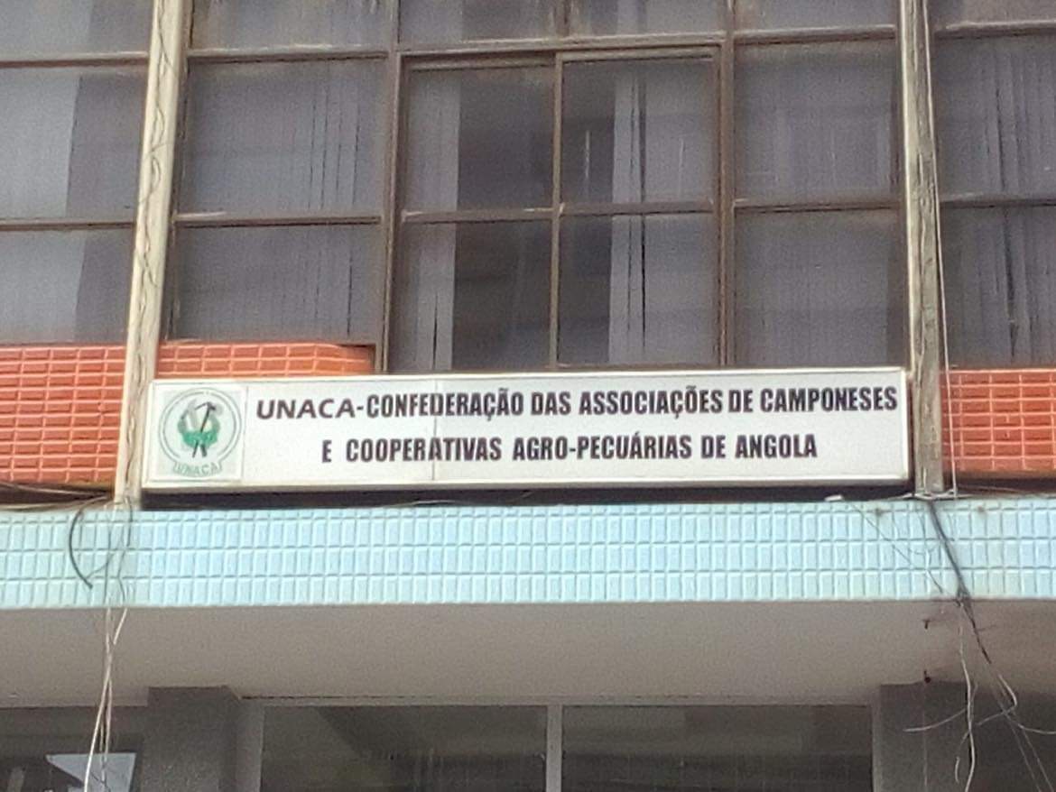 SEM SALÁRIOS HÁ MAIS DE DEZ ANOS: trabalhadores da UNACA cogitam ...